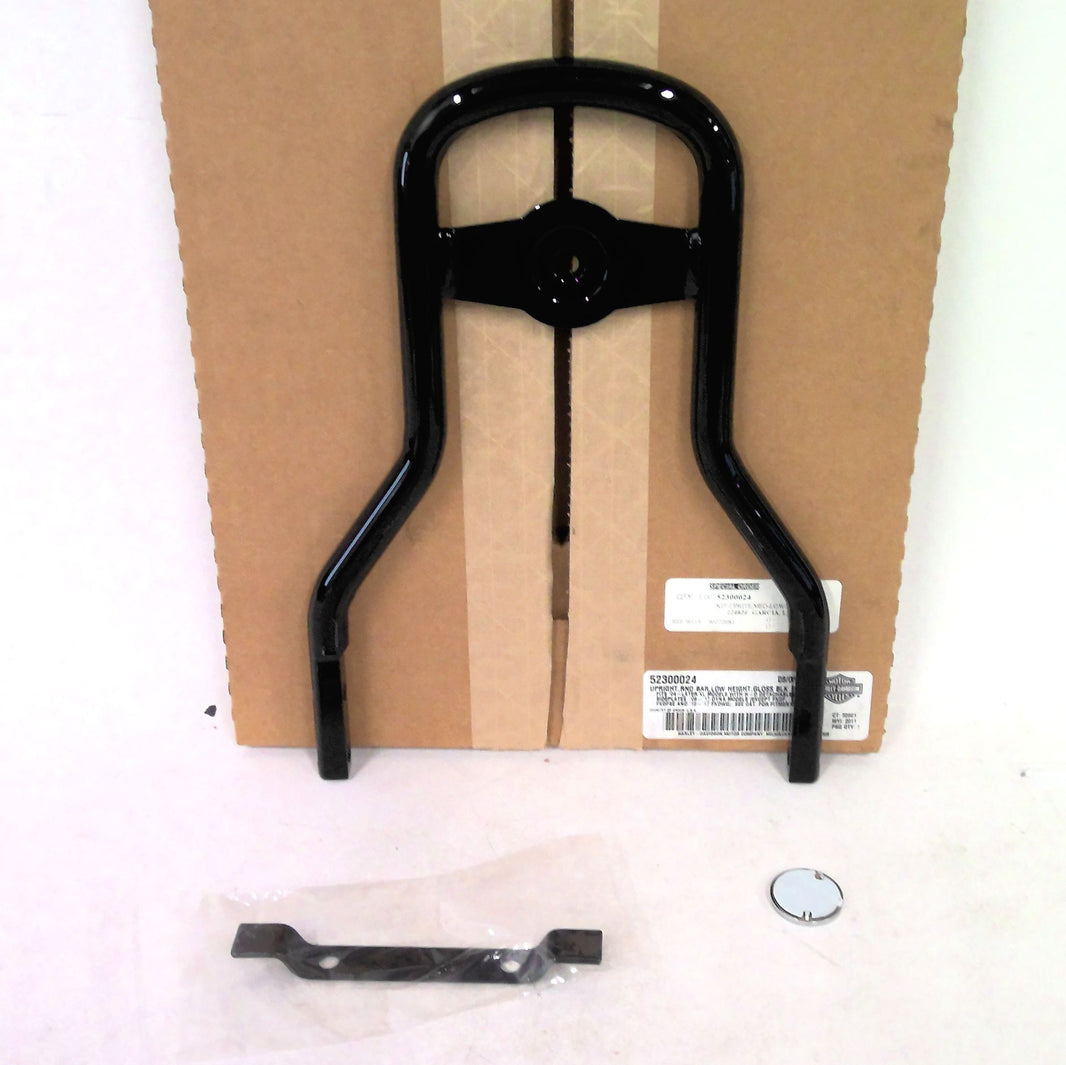 Shop Harley Seats and Backrests – Page 4